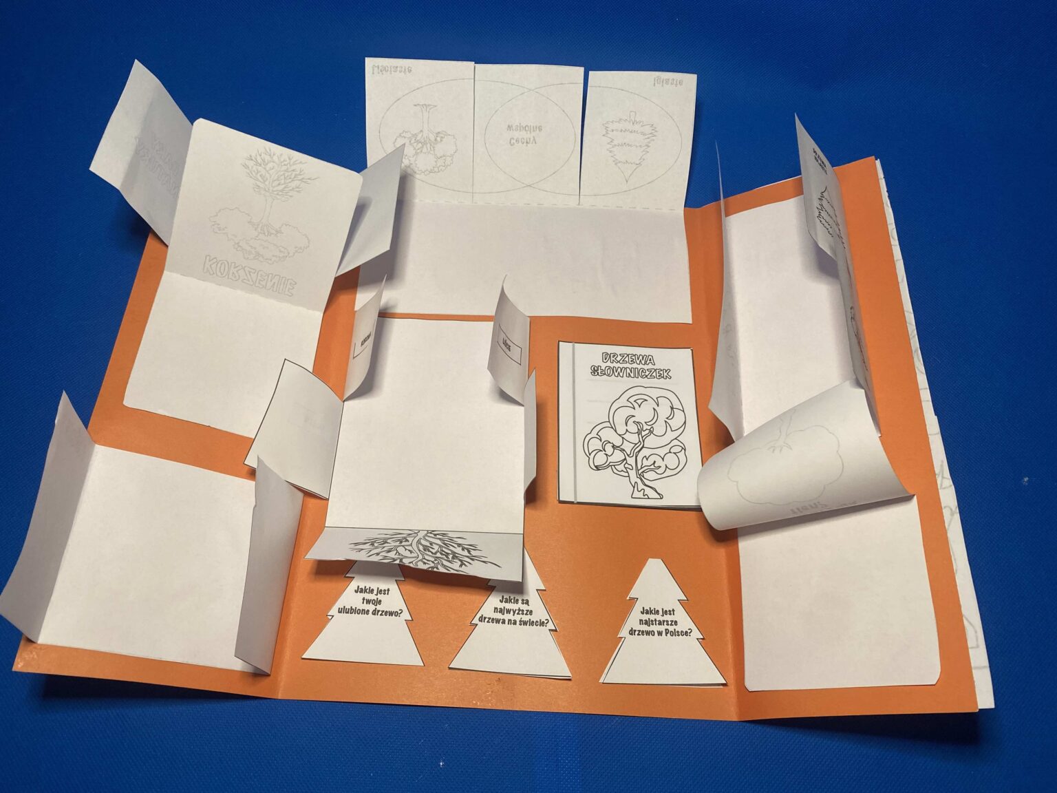 Lapbook o drzewach — pobierz bezpłatnie szablon